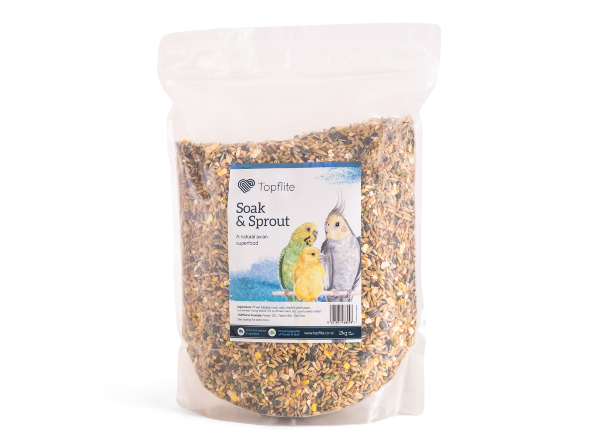 Tui Nectar Feeder | Pet Essentials Rototuna Hamilton
