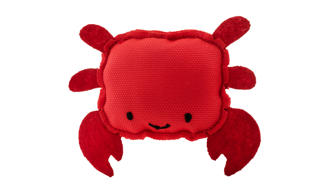 Pet Essentials Rototuna Hamilton