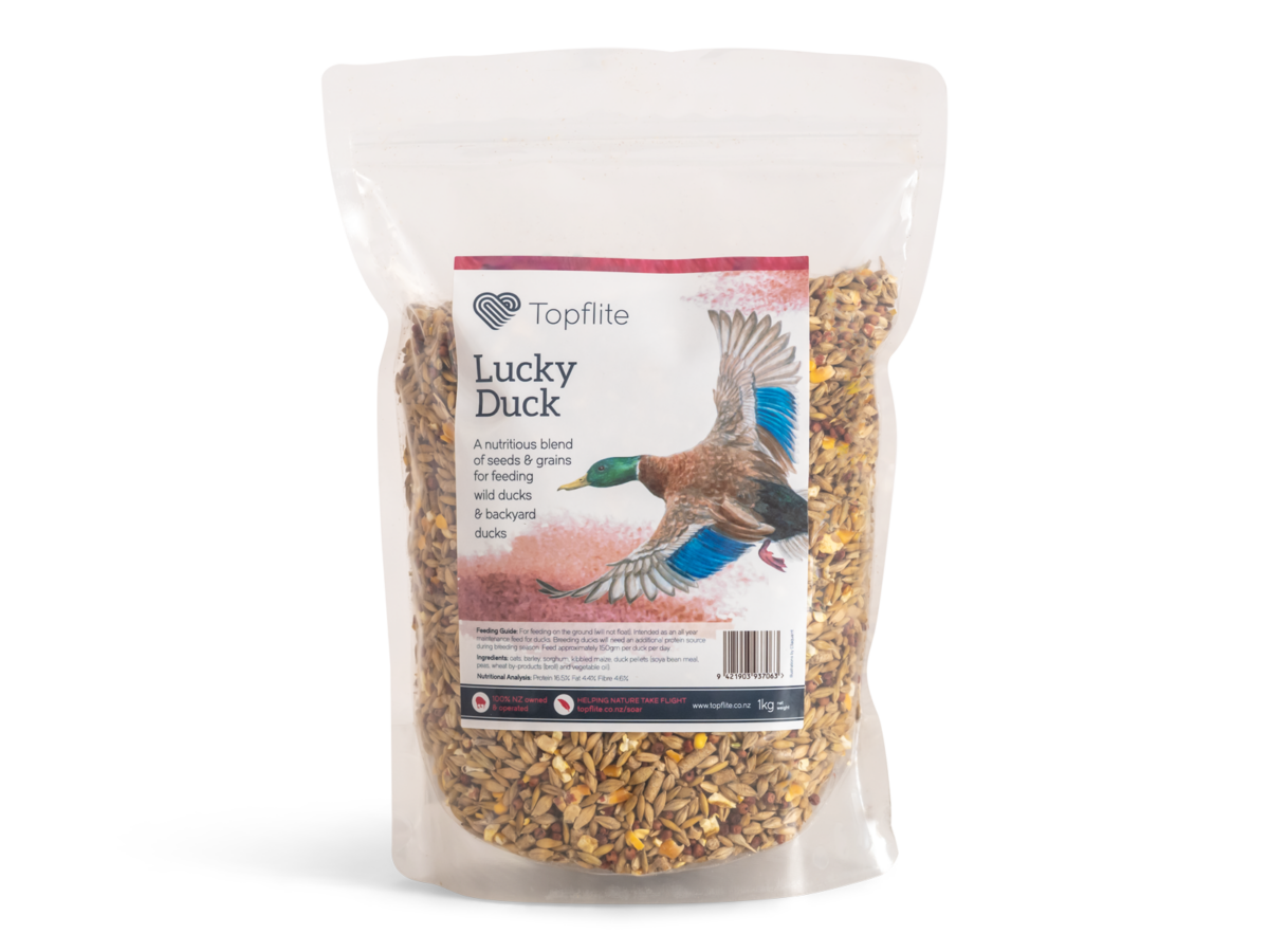 Wild Bird | Pet Essentials Rototuna Hamilton