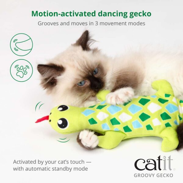 Catit Groovy Gecko | Pet Essentials Rototuna Hamilton
